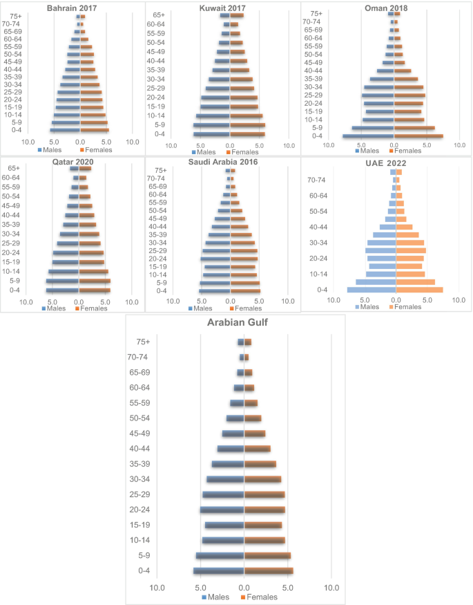 Ageing Patterns and Concerns in the Arabian Gulf: A Systematic Review ...