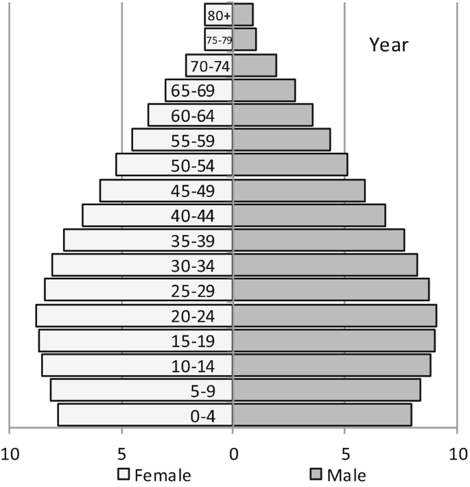 The Emerging Aging Scenario in India | SpringerLink