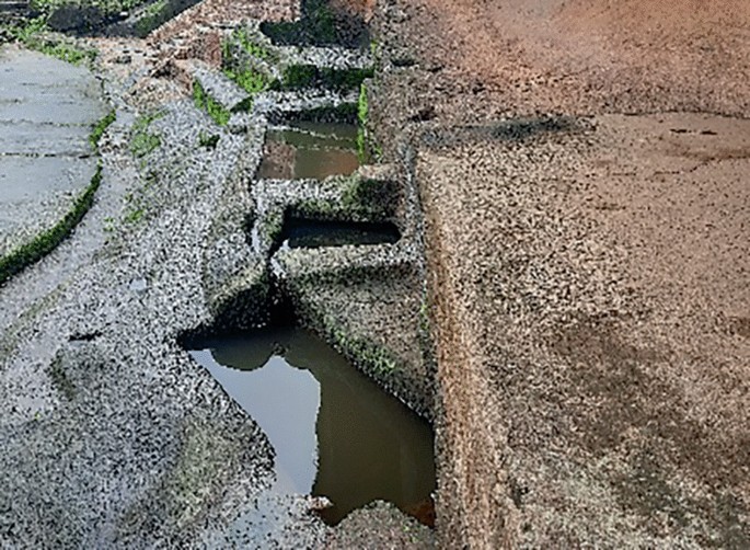 Sustainability of Traditional Rock-Cut Water Management System: Case of ...