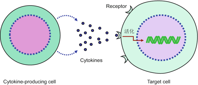 Cytokines | SpringerLink