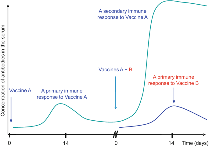 Adaptive Immunity and Immune Control | SpringerLink