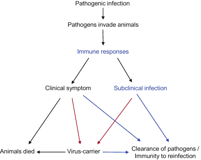 Adaptive Immunity and Immune Control | SpringerLink