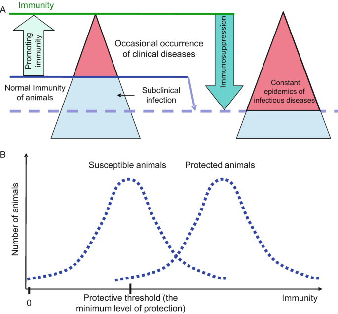 Adaptive Immunity and Immune Control | SpringerLink