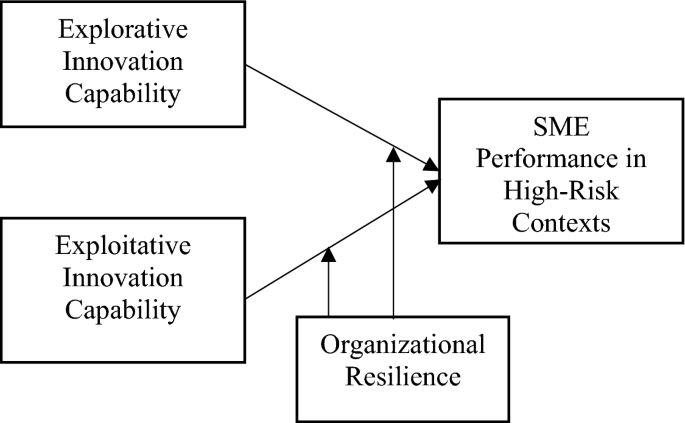 Organizational Resilience, Innovation Capabilities, and SME Performance ...