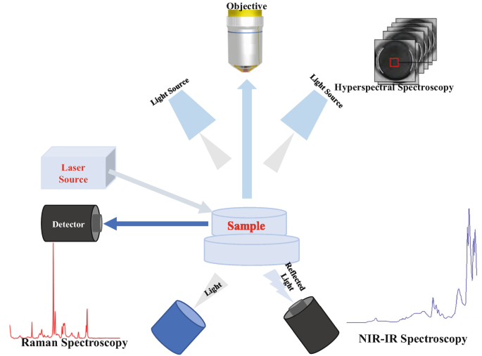 Outlining the Role of Vibrational Spectroscopy in Characterizing Starch ...