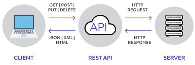 Introduction to RESTful APIs | SpringerLink