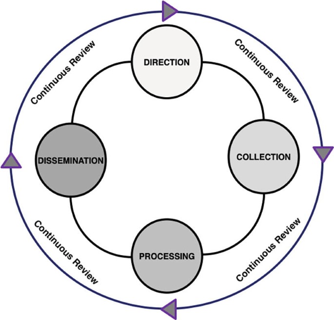 The Intelligence Life Cycle—From Unknowns to Understanding | Springer ...
