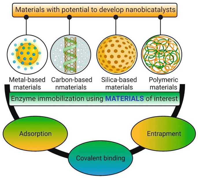 Nanobiocatalysts and Their Applications | Springer Nature Link