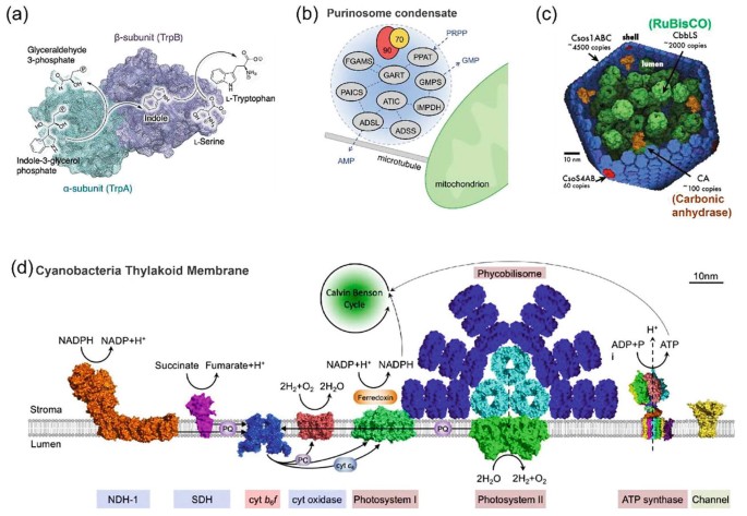 Nanobiocatalysts and Their Applications | Springer Nature Link