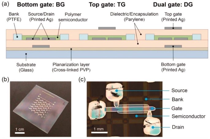 Thin Films and Colloidal Nanostructures | SpringerLink