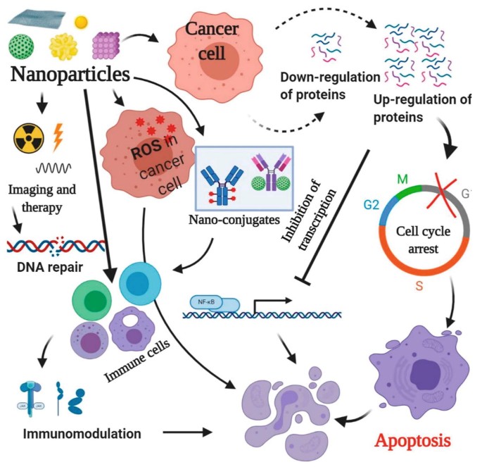 Nanoparticles in Diagnostics and Imaging | Springer Nature Link
