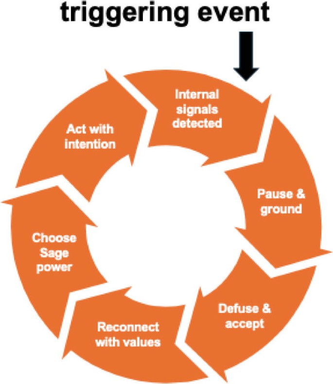 Mastering the Inner Game: Staying Grounded in Chaos | Springer Nature ...