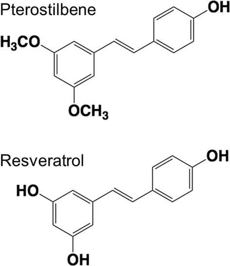 Pterostilbene as a Potent Chemopreventive Agent in Cancer | SpringerLink