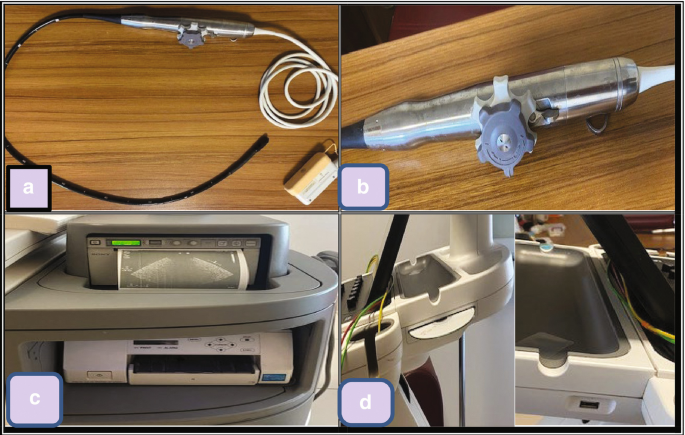 Transesophageal Echocardiography from Upper Respiratory Endoscopic ...