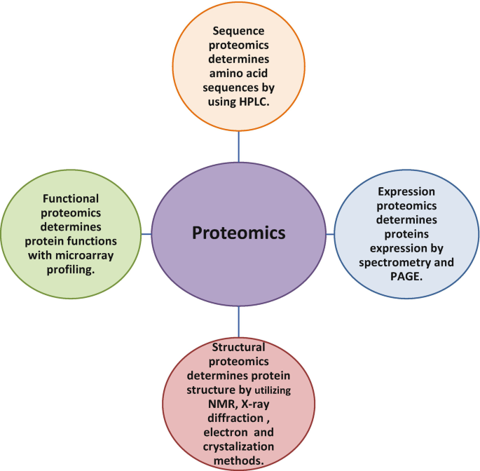 Nutritional Enrichment in Legumes Through Omics Approaches | SpringerLink