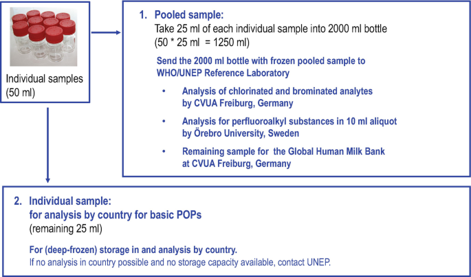 Overview of WHO- and UNEP-Coordinated Human Milk Studies and Their Link ...