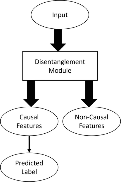 Causal Domain Generalization | SpringerLink