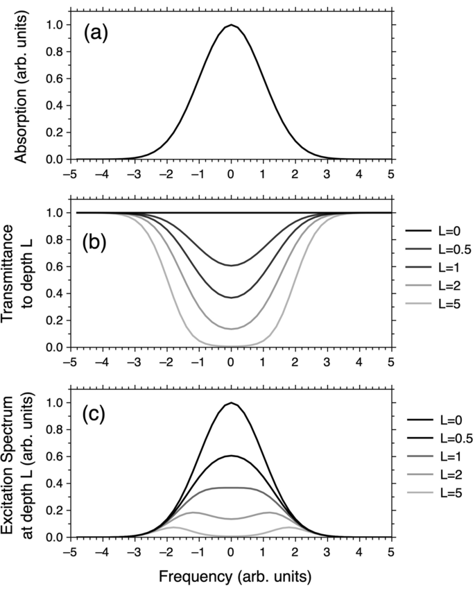 Possible Use of Iodine Absorption/Fluorescence Cell in High-Spectral ...