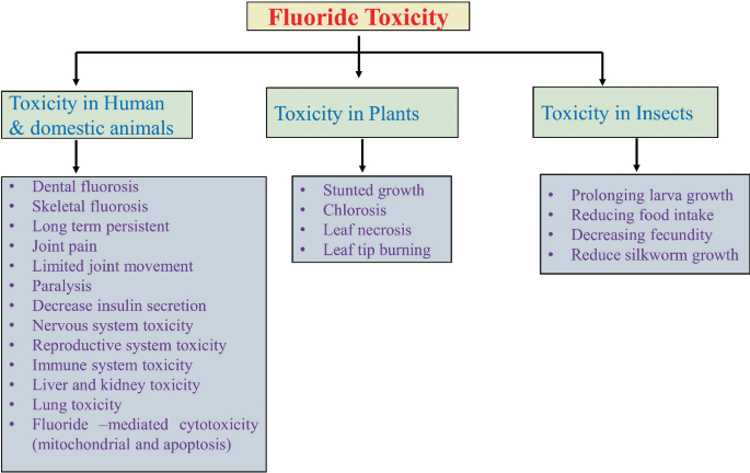 Fluoride Removal from Aqueous Solution Using Iron-Based Materials ...