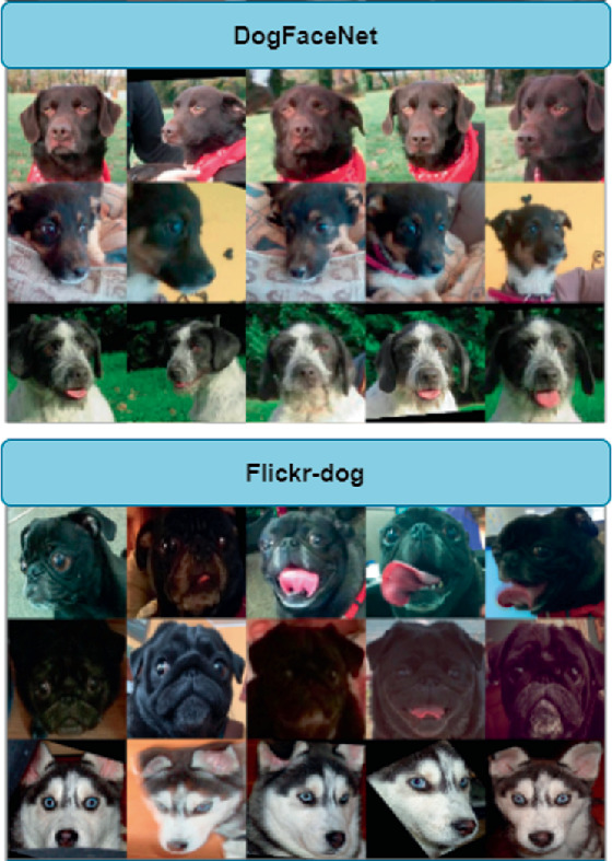 Dog Face Recognition Using Deep Features Embeddings | SpringerLink