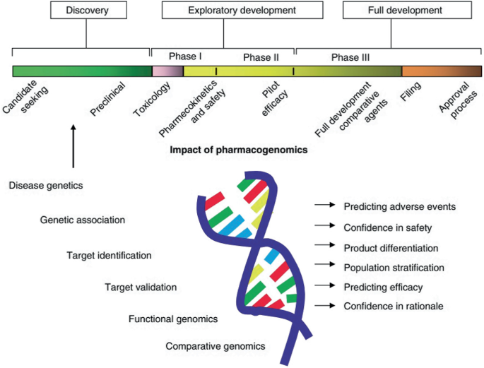 Pharmacogenomics in Drug Research and Development | SpringerLink