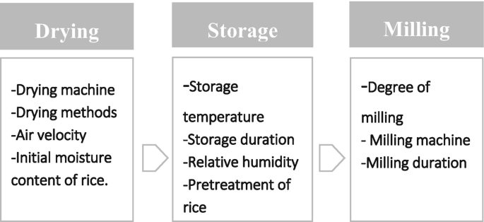 Postharvest Processing of Rice | SpringerLink