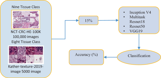 Histopathological Colorectal Cancer Image Classification by Using Inception V4 CNN Model ...