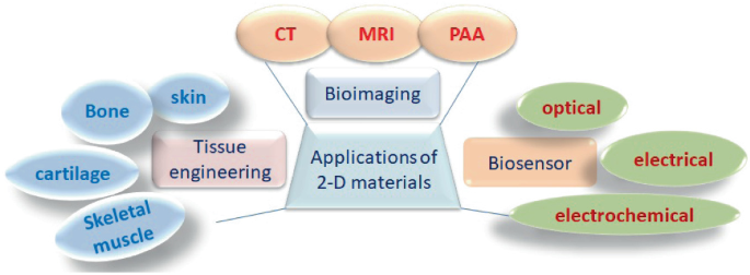 Two-Dimensional Material-Based Novel Drug Delivery System | SpringerLink