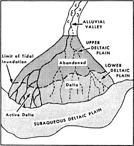 Arcuate Delta Diagram