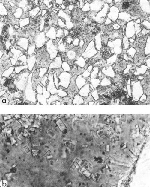 Buchite | SpringerLink