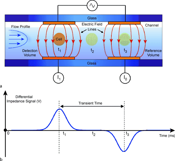 Complex Impedance Measurement