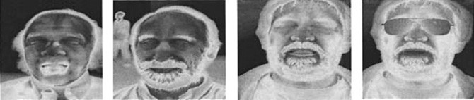 Infrared Face Recognition | SpringerLink