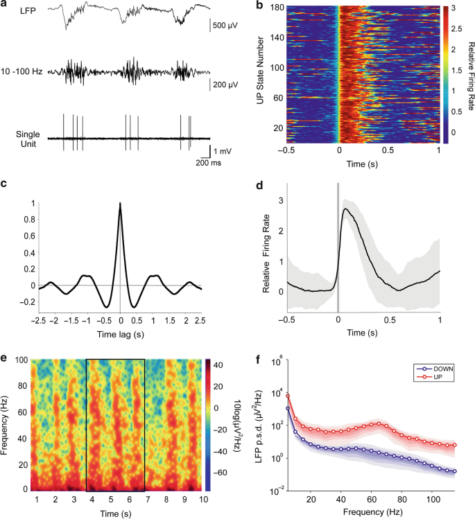 Slow Oscillations: Physiology | SpringerLink