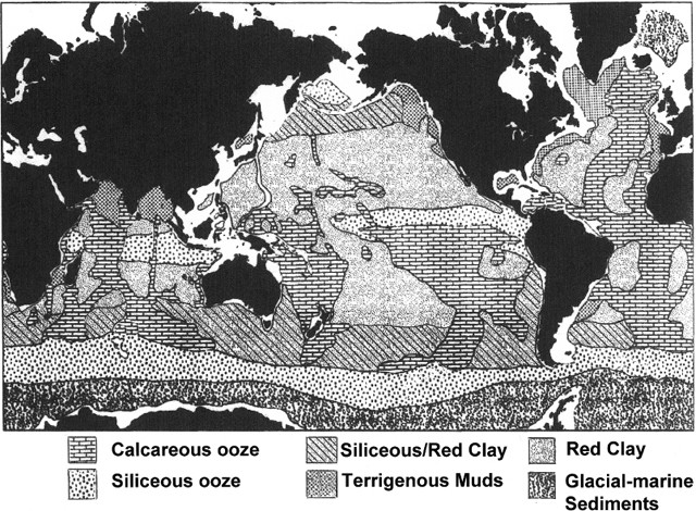Oceanic sediments | SpringerLink
