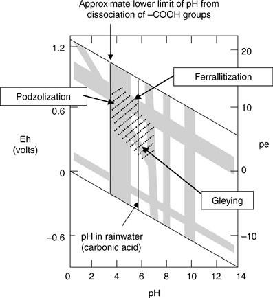 Acid Soils | Springer Nature Link