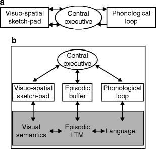 Working Memory | SpringerLink