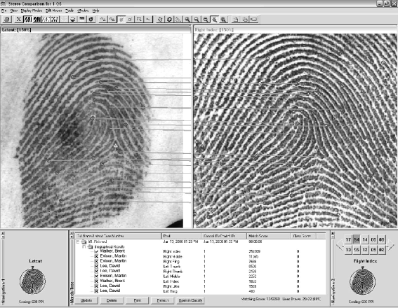 Biometrics for Forensics | SpringerLink