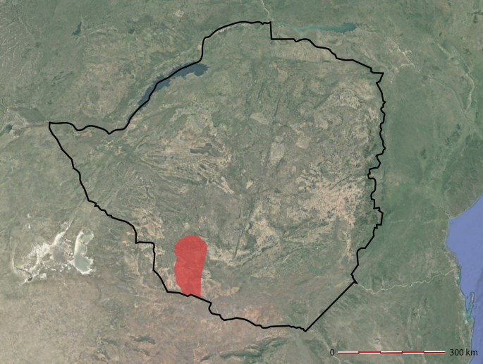 Matobo Rock Art | SpringerLink