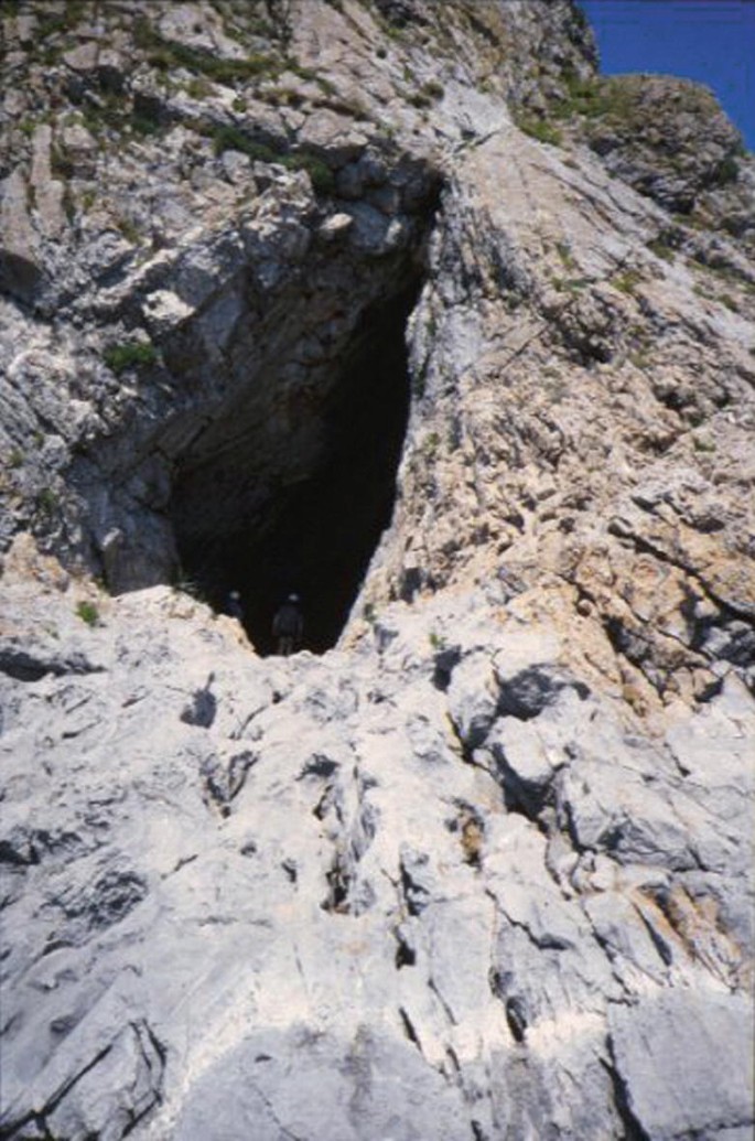 Paleolithic Archaeology of Wales: Paviland Cave | SpringerLink