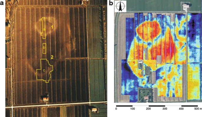 Terramara Santa Rosa di Poviglio Alluvial Site | SpringerLink