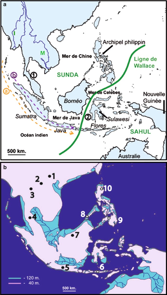 Insular Southeast Asia at the Interface of Continent-Archipelago ...