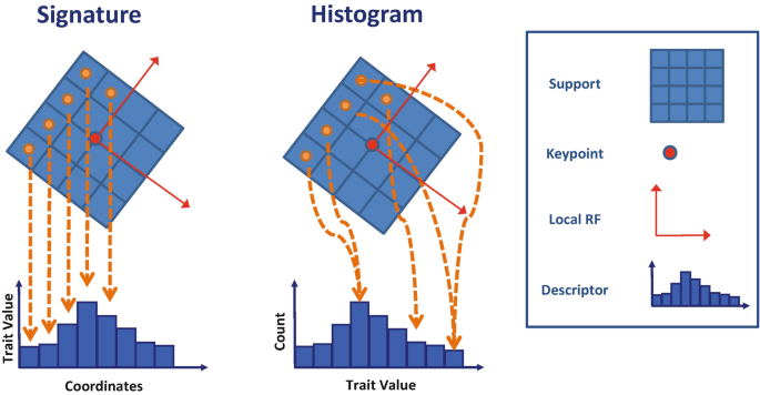 Three-Dimensional Shape Descriptor | SpringerLink