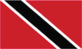 Communication in Public Administration and Governance, Trinidad and ...