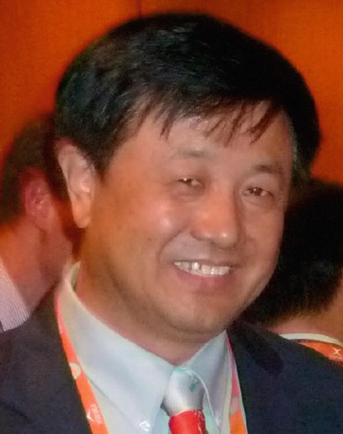 Cheng, Qiuming | SpringerLink