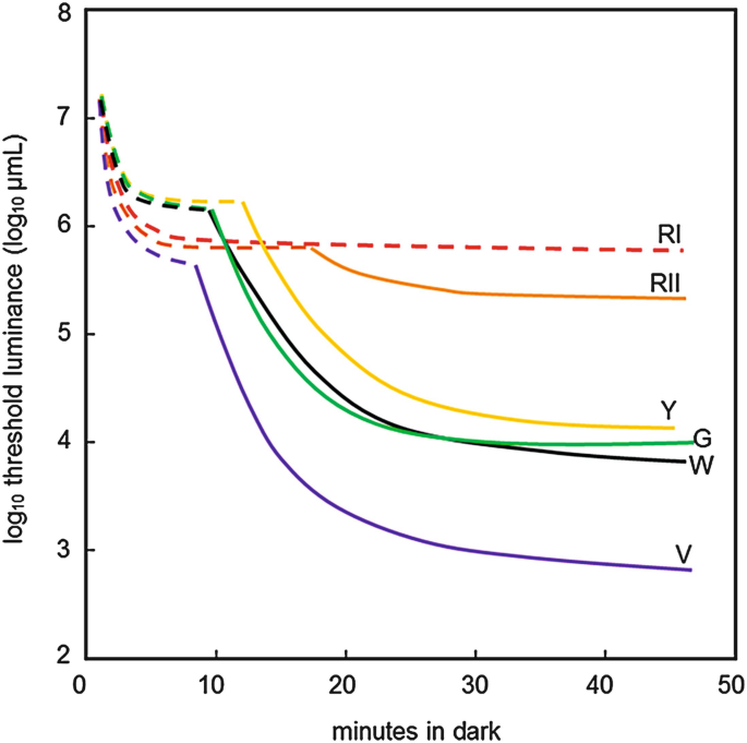 Adaptation | SpringerLink
