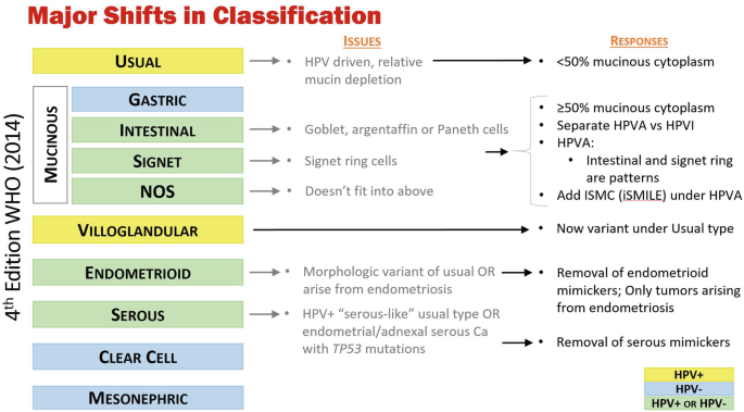 WHO Classification of Tumors of the Uterine Cervix, Pathology of the ...