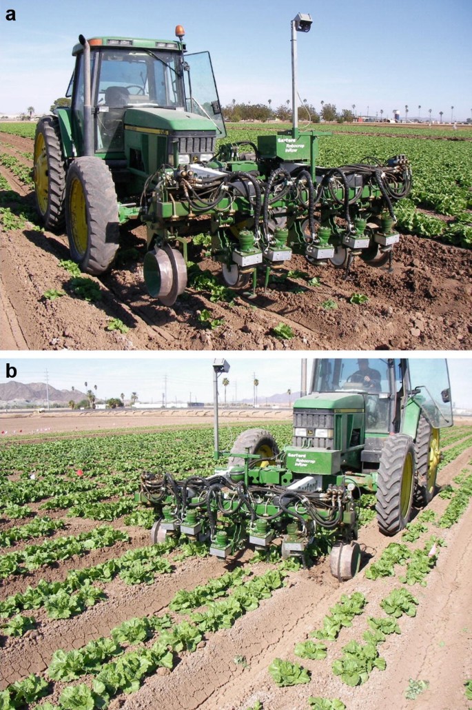 Mechanized Weed Management in Vegetable Crops | SpringerLink