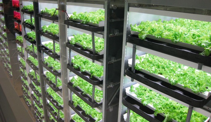 Plant Factory Technologies | SpringerLink