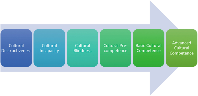Cultural Competence in Nonprofit Organizations | SpringerLink