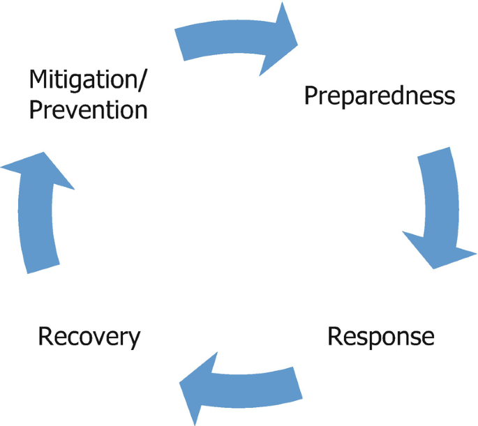 Disaster Response Management | SpringerLink